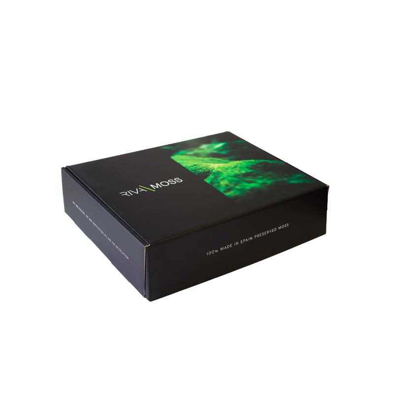 BOX MOSS COLLECTION – RIVA SPAIN